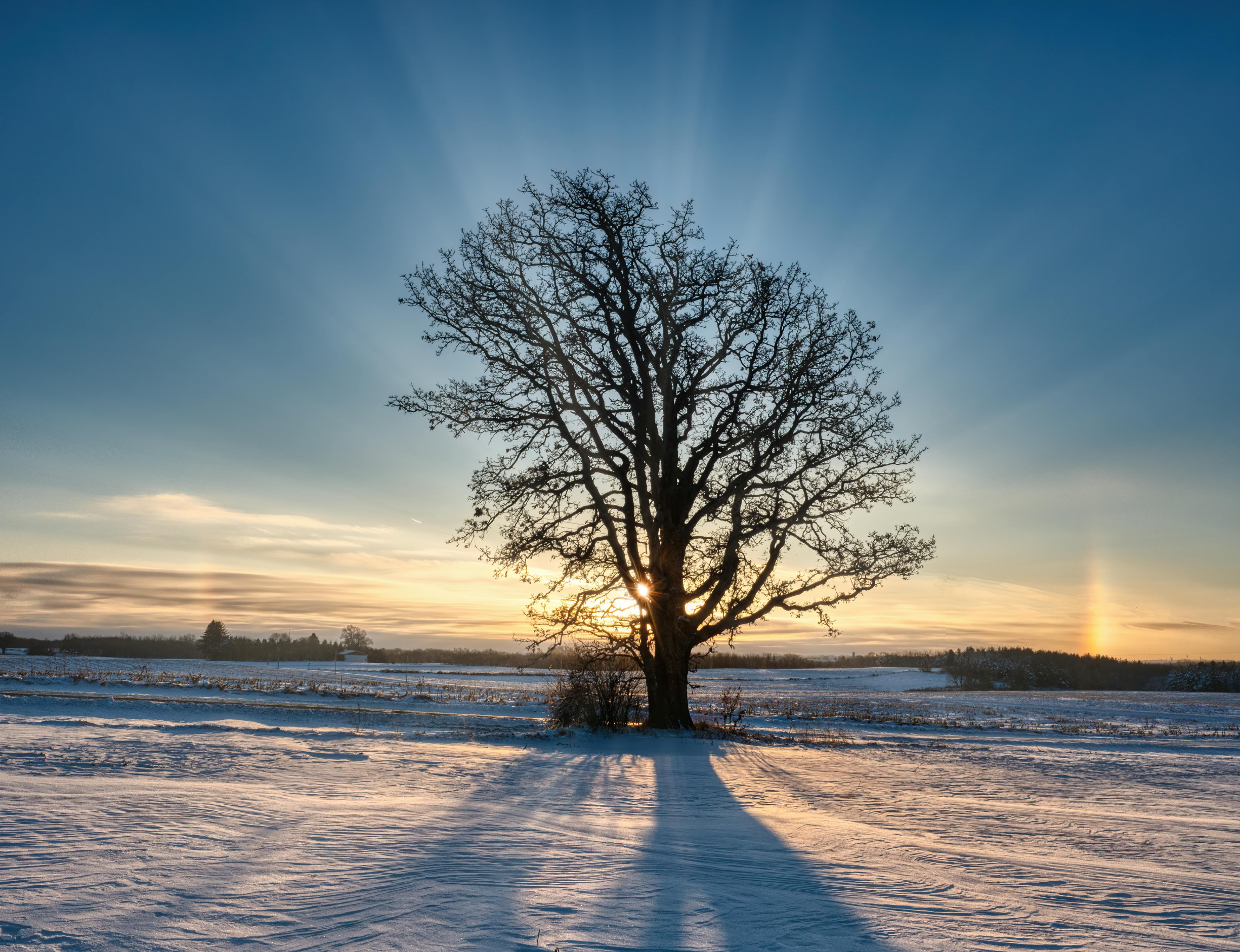 Learning to Love the Sun that Shines in Minnesota - Braided Way Magazine