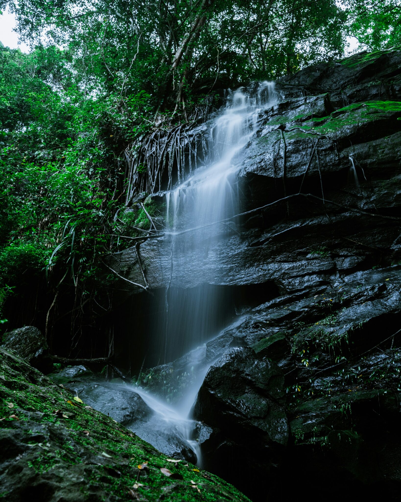 The Geography of Silence: A Saffron Crucible - Braided Way Magazine